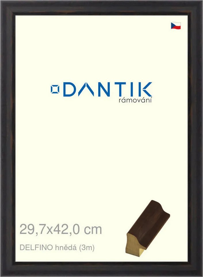DANTIK rámeček 29,7x42 | DELFINO hnědá (Plexi Čiré)