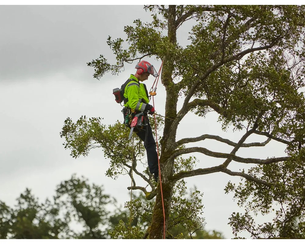 Akumulátorová řetězová pila CRAMER 82TCS15 (Dodáváno bez baterie a nabíječky)
