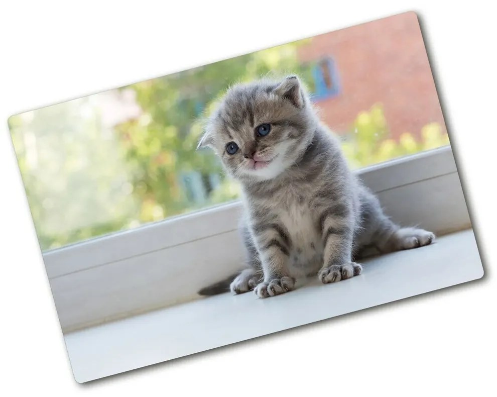 Wallmuralia Kuchyňská deska skleněná Malá kočka u okna 80x52 cm