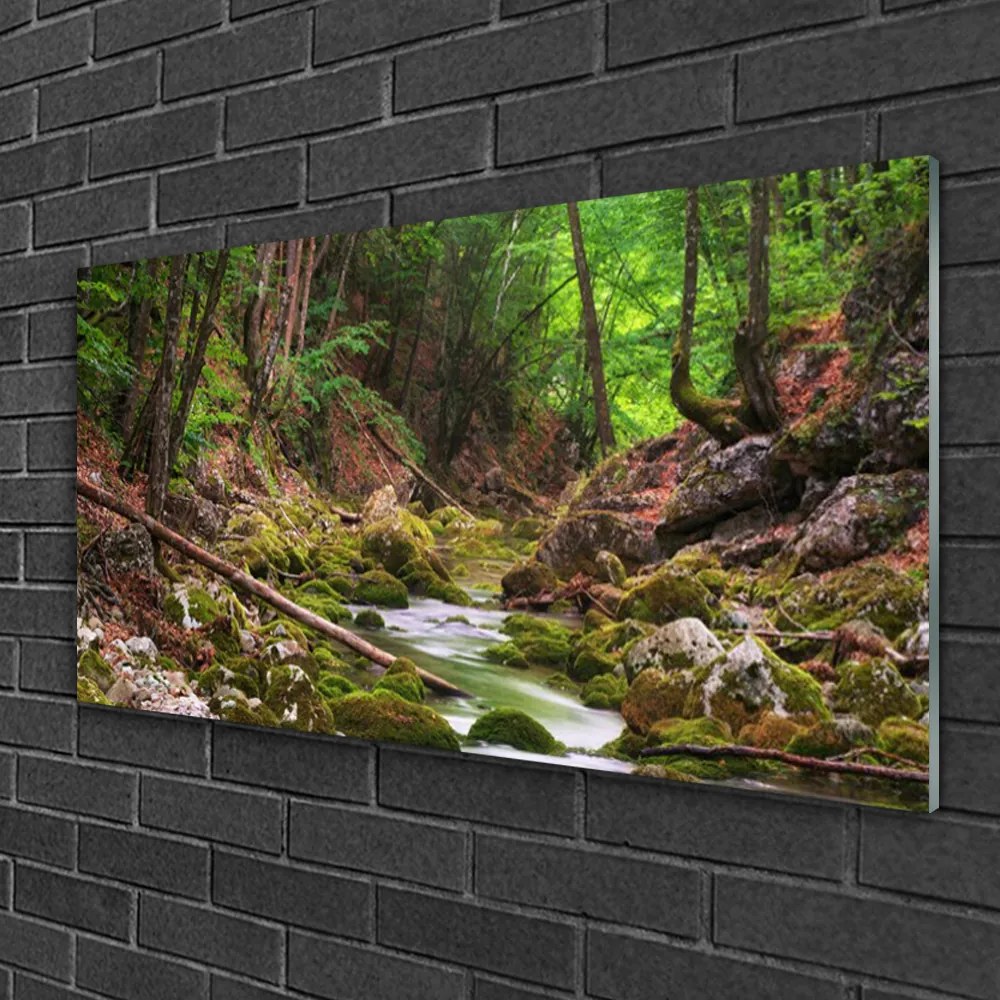 Obraz na skle Les Mech Příroda 120x60 cm