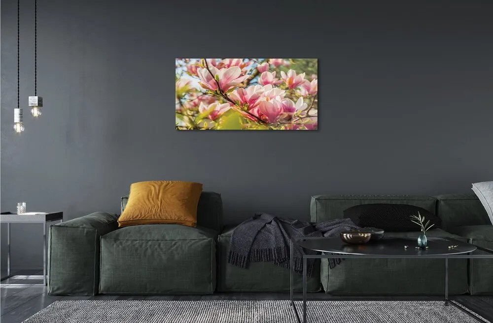 Obraz na skle růžová magnolie 100x50 cm