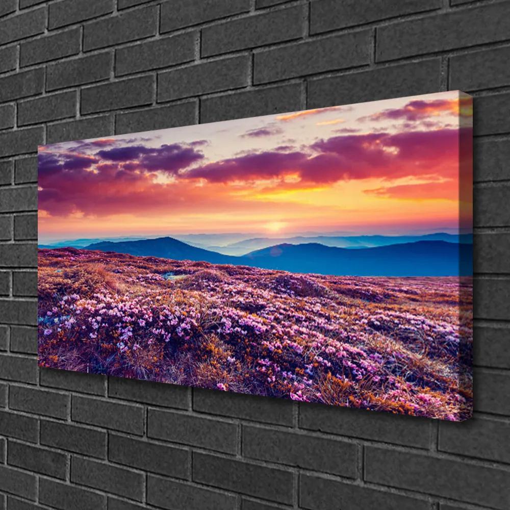 Obraz na plátně Louka Hory Květiny Příroda 140x70 cm