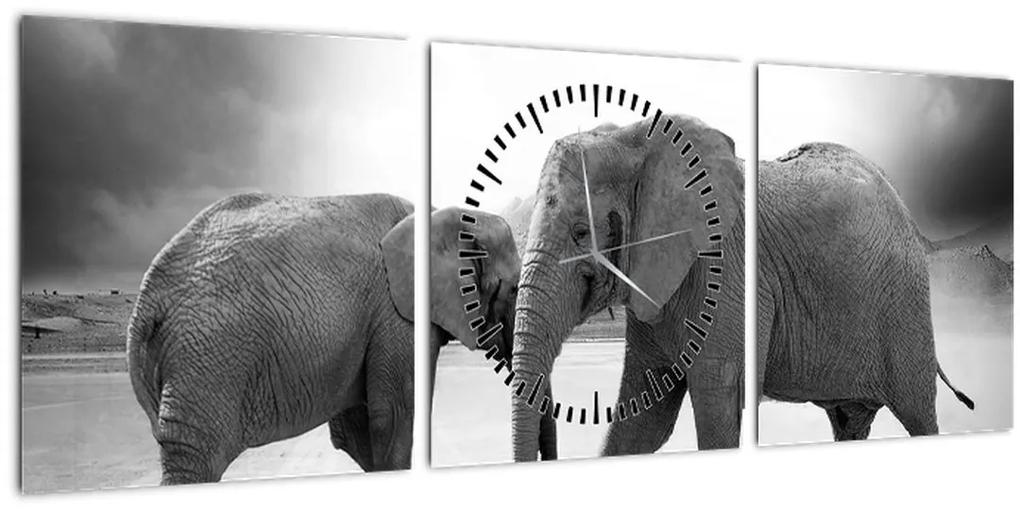 Obraz - černobílí sloni (s hodinami) (90x30 cm)