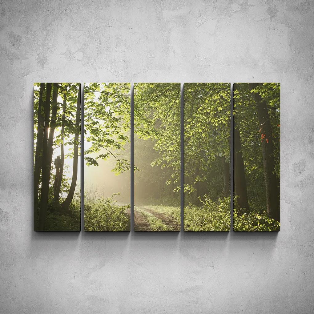 5-dílný obraz - Cesta z lesa - PopyDesign