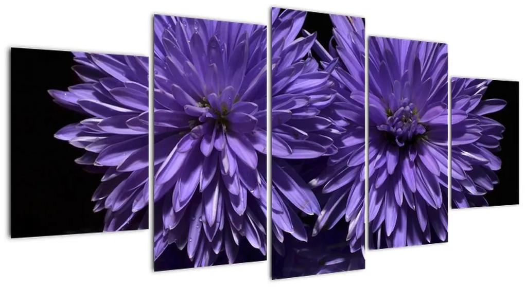 Obraz fialových květů
