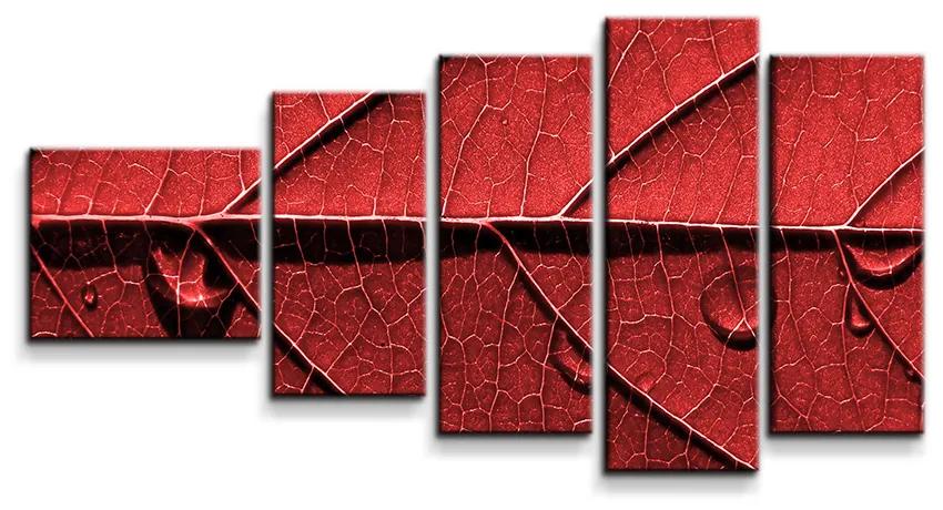 Sablio Obraz - 5-dílný Červený list - 100x60 cm