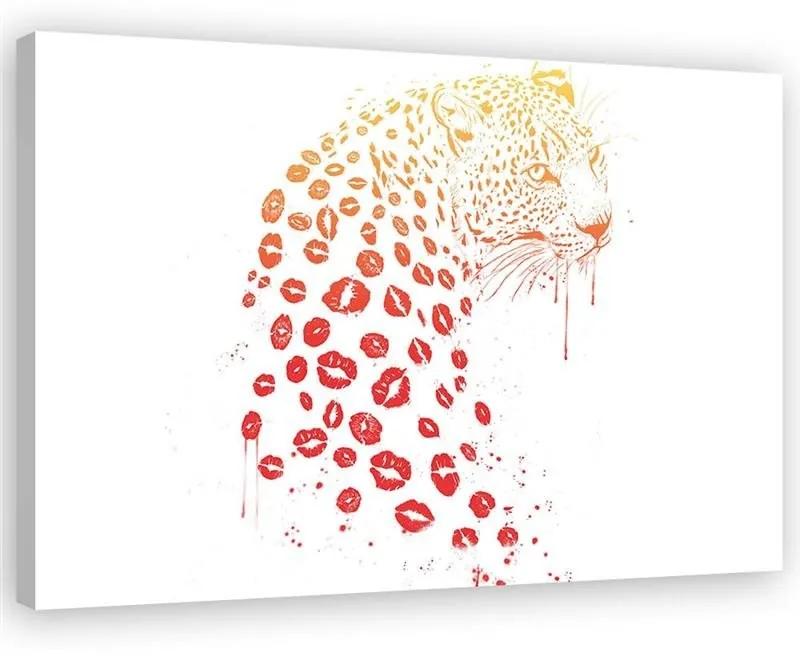 Gario Obraz na plátně Leopard v ústech - Rykker Rozměry: 60 x 40 cm