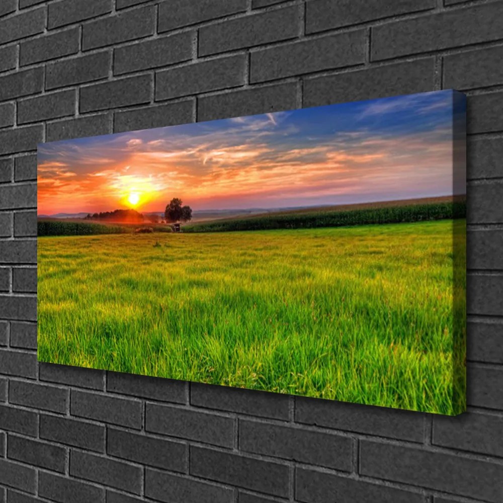 Obraz na plátně Louka Slunce Příroda 120x60 cm