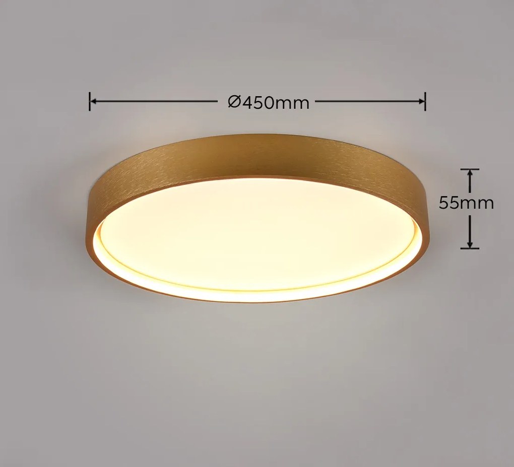 Trio 641310208 LED stropnice Doha | 29W integrovaný LED zdroj | 3260 lm | 2300+3000+4000K