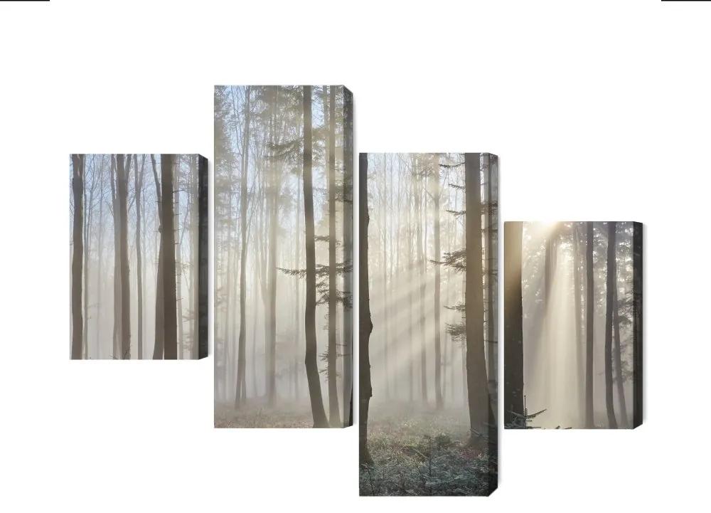 Vícedílný obraz Východ Slunce V Lese Nedostatek Nedostatek Přírodní plátno 240x150