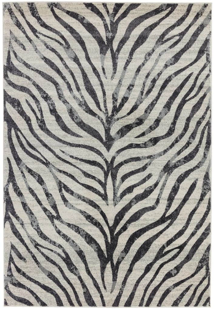 Šedý  koberec Dinamo Zebra Grey Rozměry: 160x230 cm