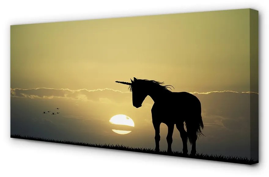 Obrazy na plátně Pole sunset jednorožec 100x50cm