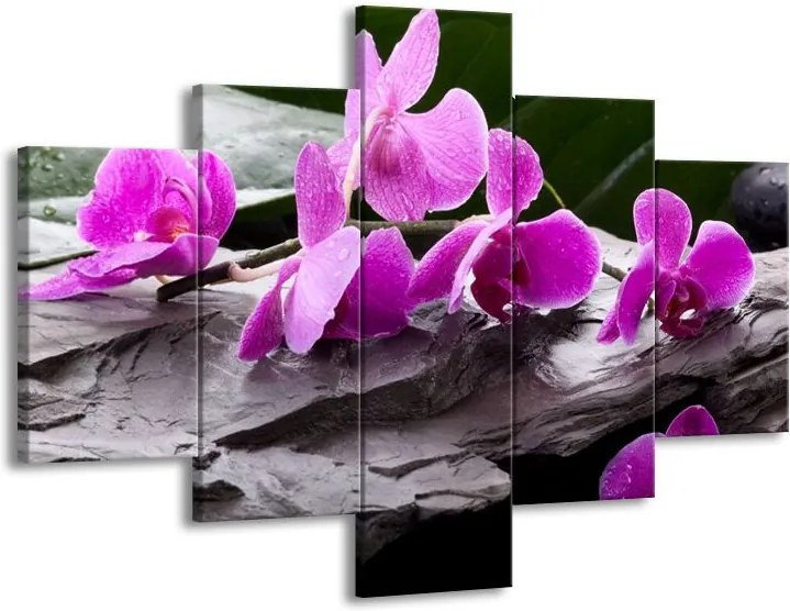 Orchidej na kameni 100x70 cm