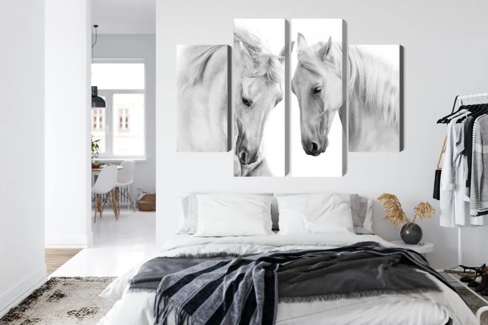 Vícedílný obraz Dva Koně Na Bílém Pozadí Nedostatek Nedostatek Plátno Canvas 200x150