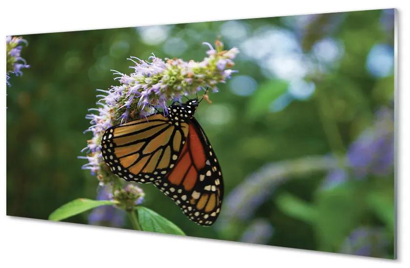 akrylový obraz Květ barevný motýl 140x70 cm