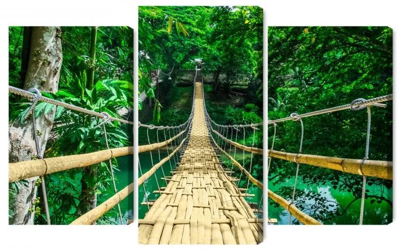 Vícedílný obraz Bambusový Most V Deštném Pralese Nedostatek Nedostatek Přírodní plátno 60x40