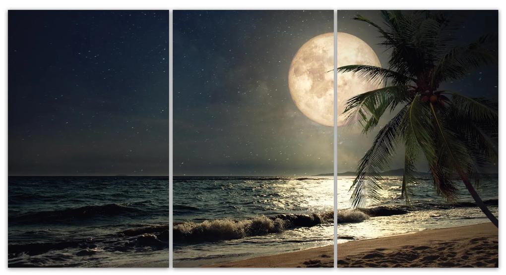 Malvis ® Obraz Pláž s palmou při měsíci Velikost: pětidílné schody - 200x100 cm