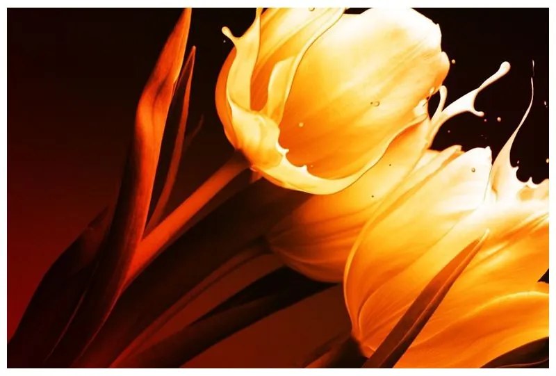 Moderní obraz oranžových tulipánů  (90x60 cm), 40 dalších rozměrů