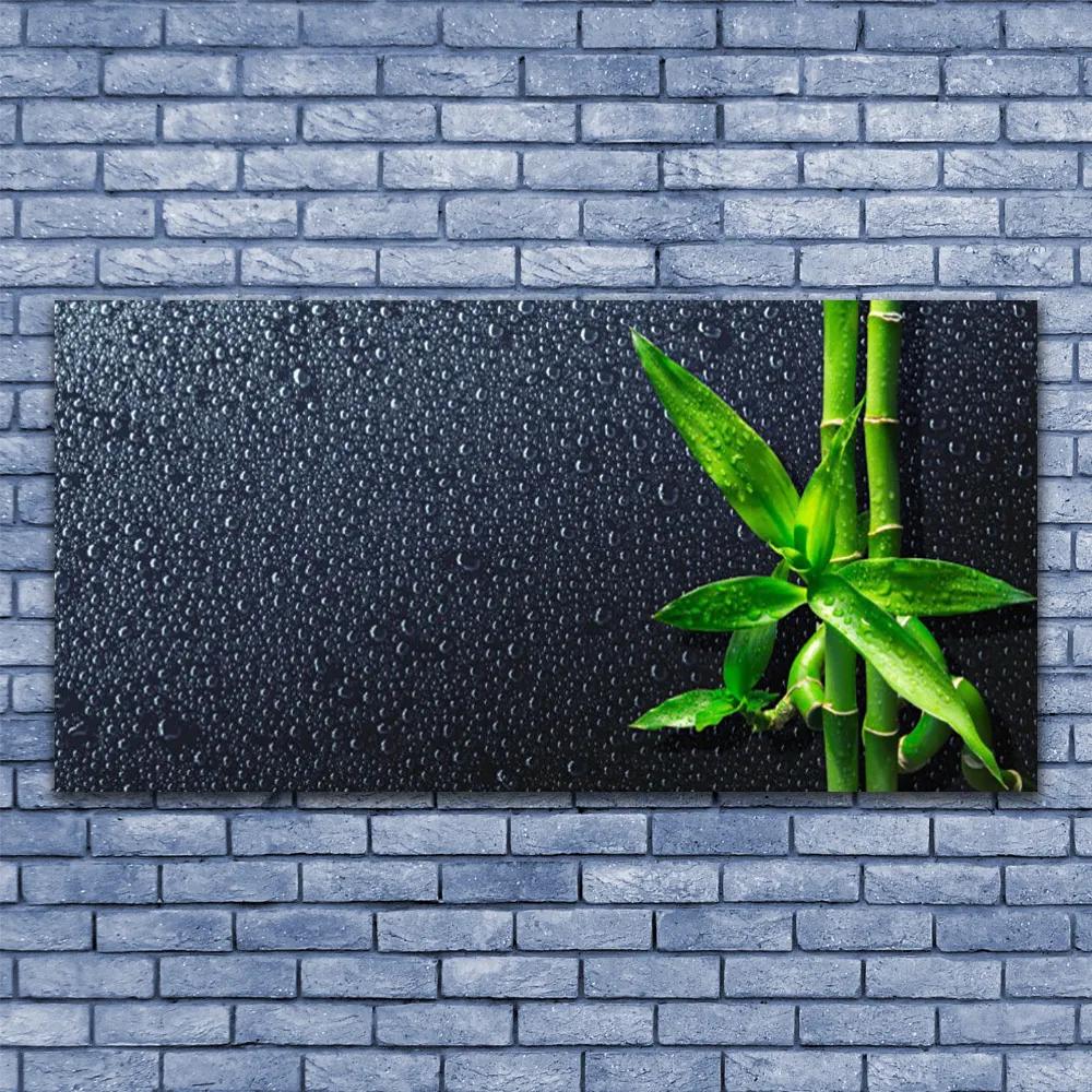 akrylový obraz Bambus Stonek Rostlina Příroda 120x60 cm