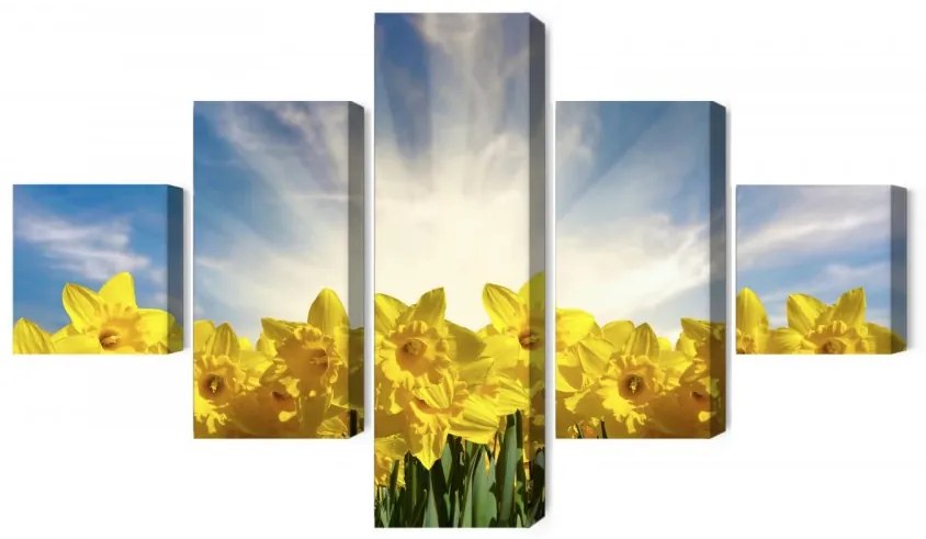 Vícedílný obraz 3D Pole Narcisů Nedostatek Nedostatek Přírodní plátno 150x90