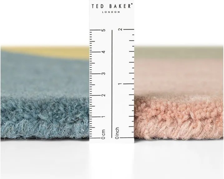 Ručně tkaný vlněný koberec 200x290 cm Westminster Cecil – Ted Baker