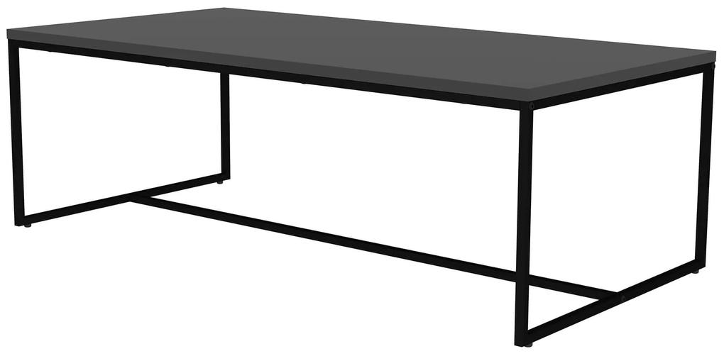 Konferenční stolek pili 120 x 60 cm černý MUZZA