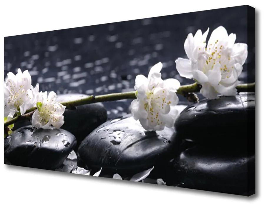 Obraz na plátně Květ Kameny 125x50 cm