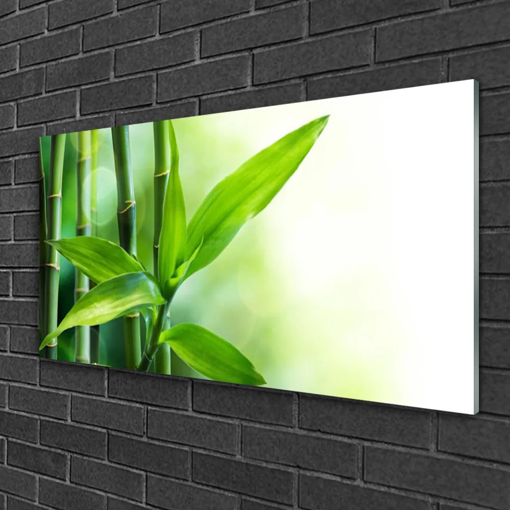 Obraz na skle Bambus List Rostlina Příroda 140x70 cm