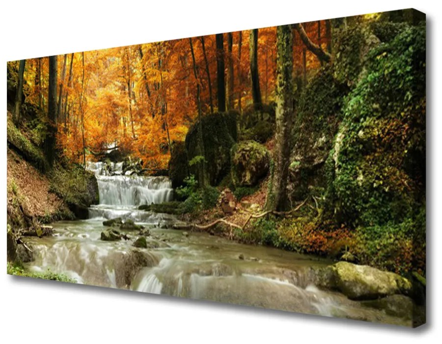 Obraz na plátně Vodopád Les Příroda 100x50cm