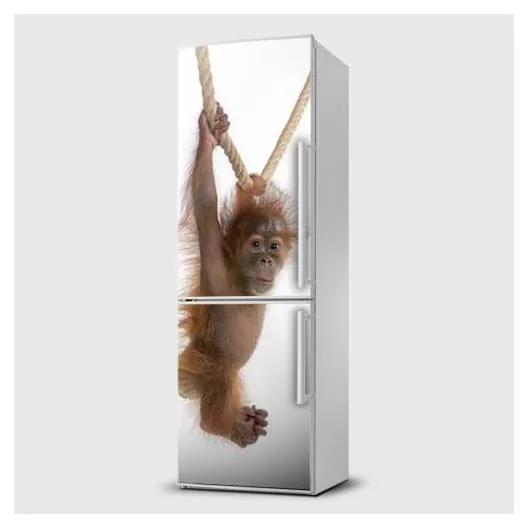 E-shop24, Pi5SL833, Rozměr 65x120 cm, Fototapeta samolepící na lednice - Opička
