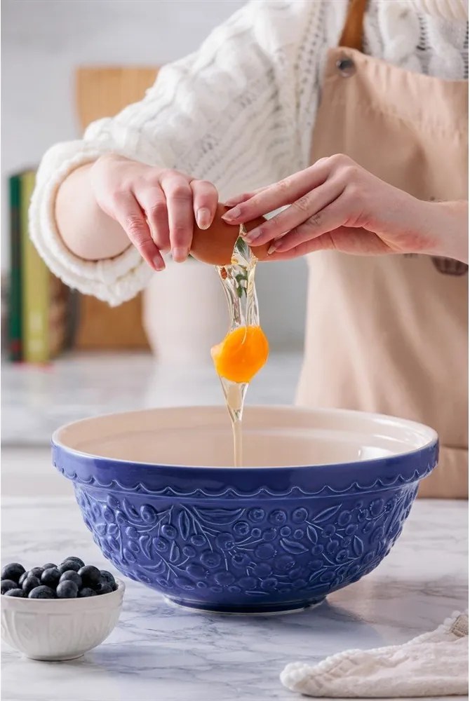 Modrá mísa z kameniny ø 26 cm Fruits Blueberry – Mason Cash