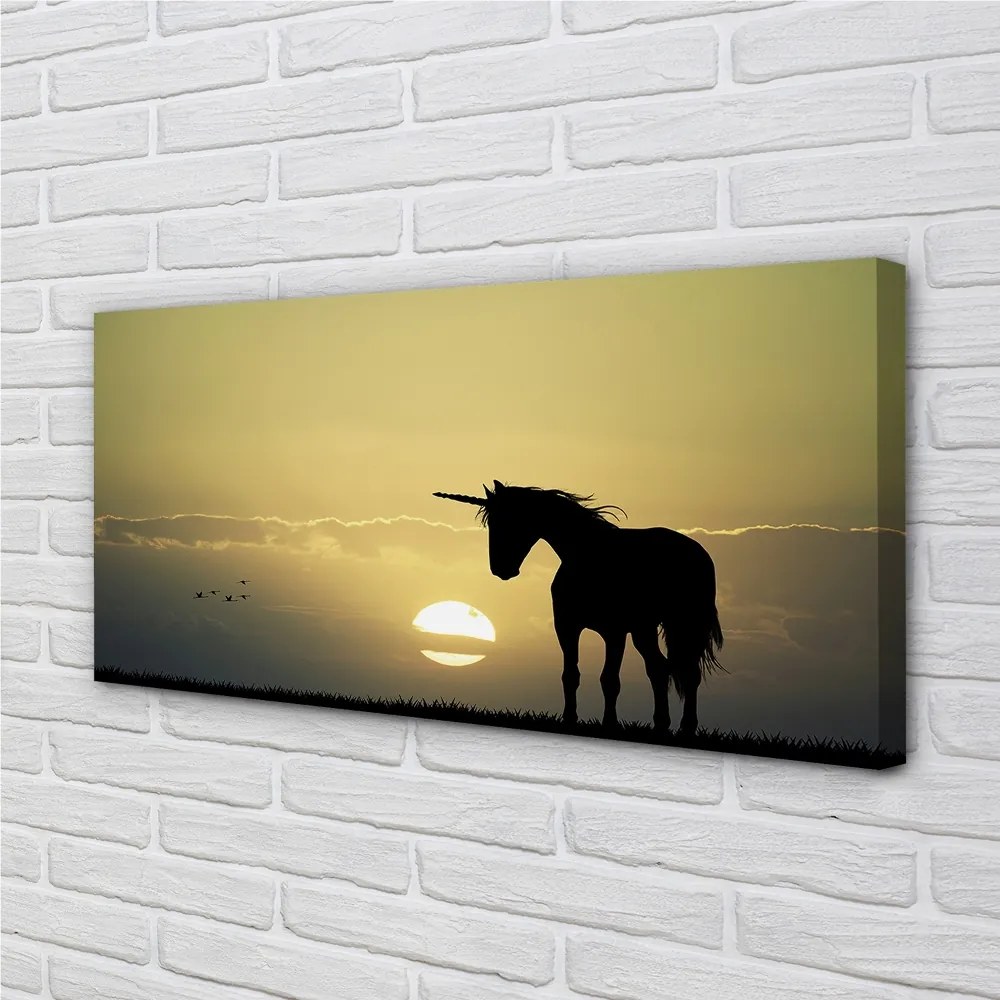 Obrazy na plátně Pole sunset jednorožec 100x50 cm