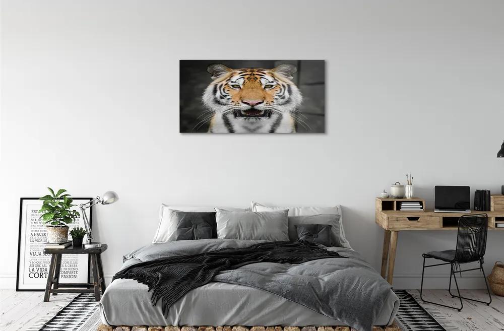 akrylový obraz Tygr 100x50 cm