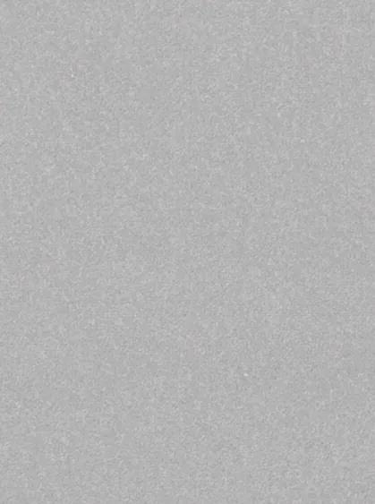 Hanse Home Collection koberce Kusový koberec Nasty 101595 Silber ROZMĚR: 80x150