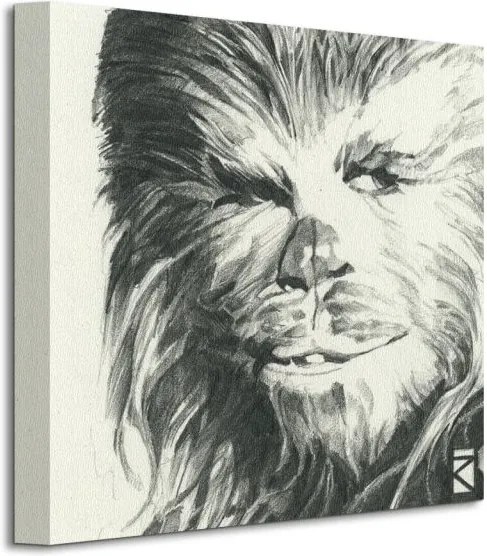 Obraz na plátně Star Wars Chewbacca Sketch 30x30cm WDC91215