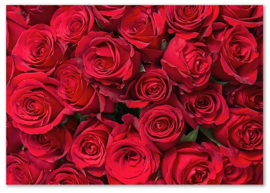 Wallmuralia Foto obraz akrylový Červené růže 100x70