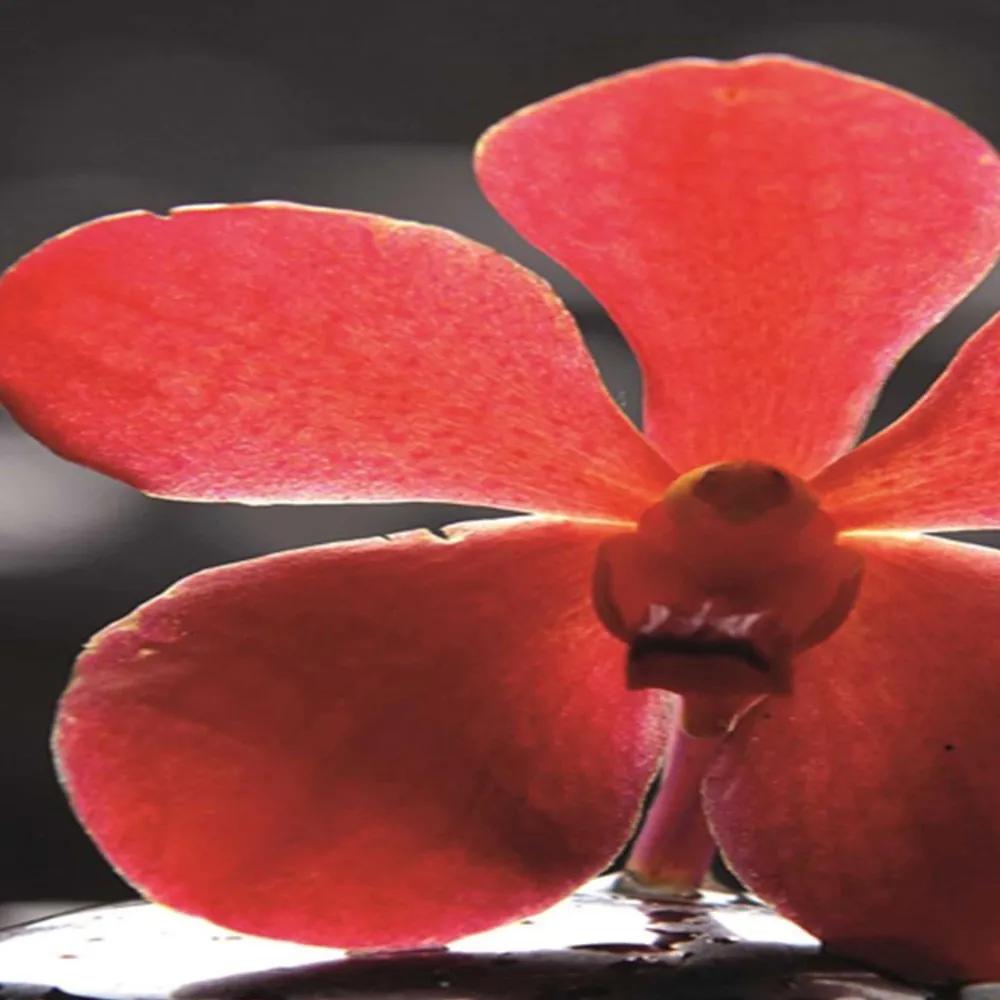 Ozdobný paraván Kamenná orchidej - 180x170 cm, pětidílný, obustranný paraván 360°