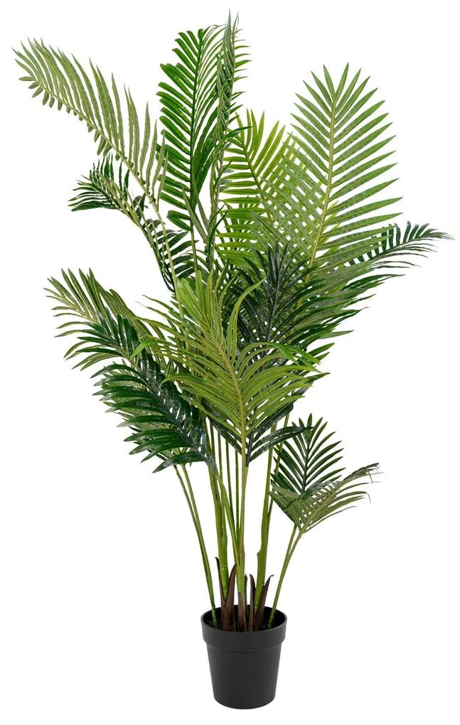 HOUSE NORDIC Dekorativní rostlina Areca Palm 175 cm