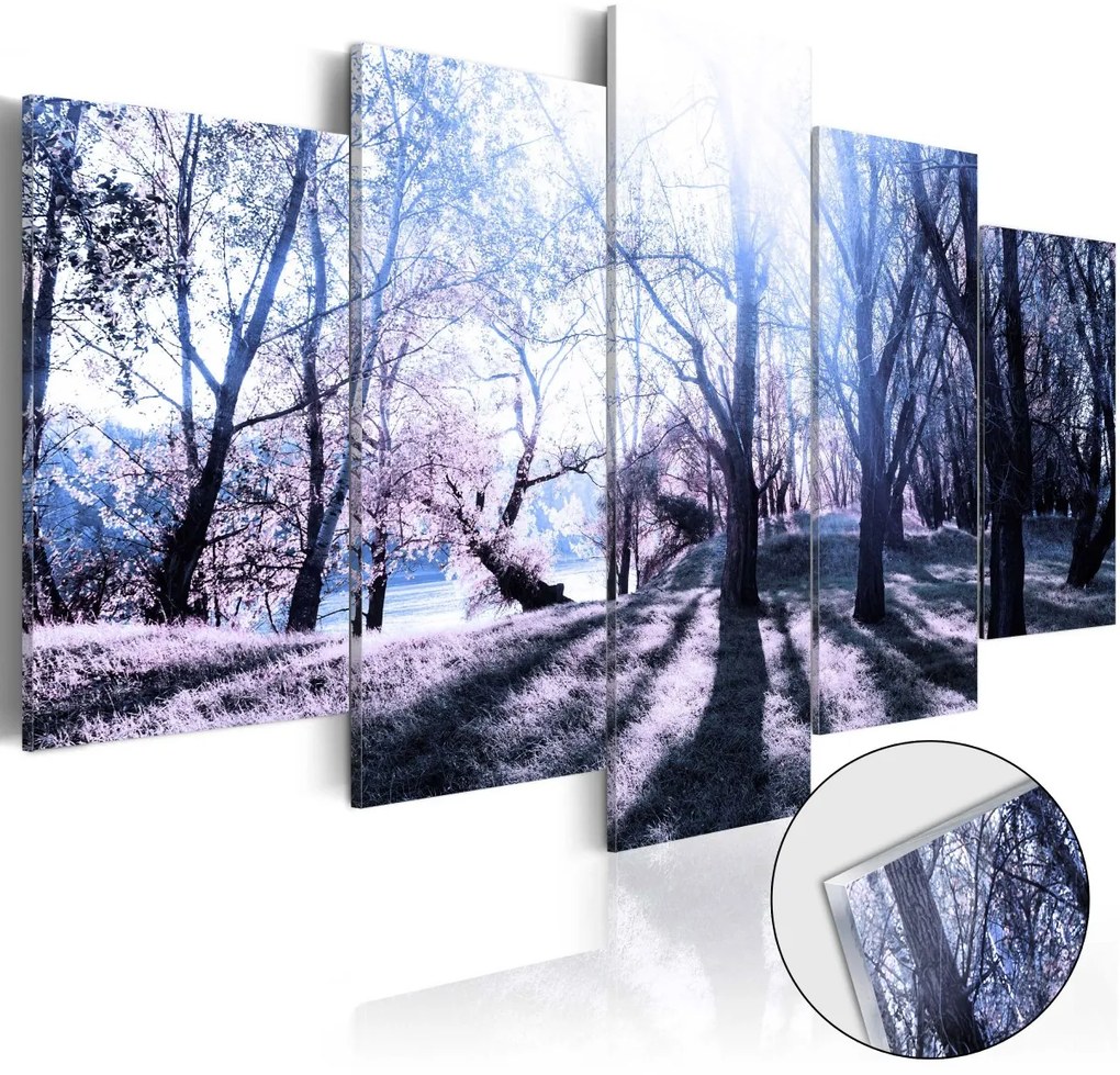Obraz na akrylátovém skle - Autumnal Glade [Glass] - 100x50