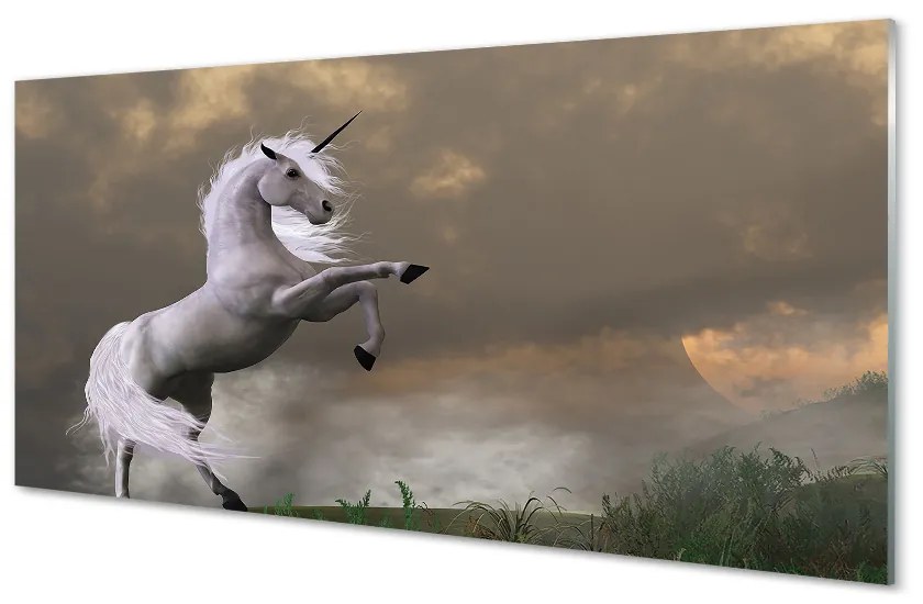 Obraz na skle Unicorn top 120x60 cm