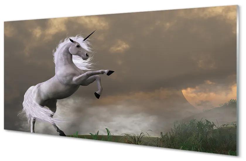 Obraz na skle Unicorn top 140x70 cm