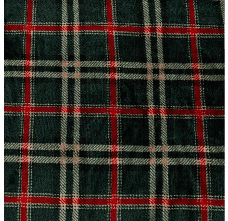 Mikroplyšová deka GLENMOORE, zelená Rozměr: 160 x 200 cm