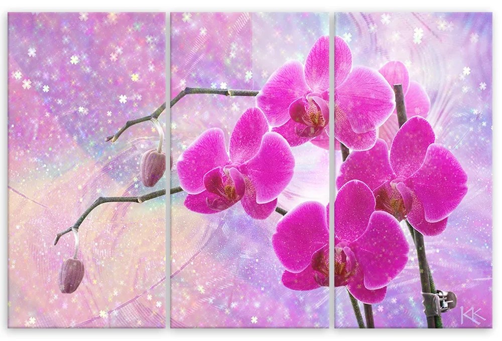 Obraz na plátně třídílný, Základní abstrakce orchidejí - 150x100 cm