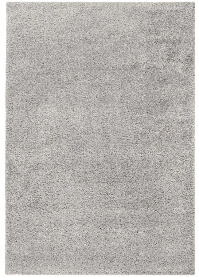 Hans Home | Kusový koberec Shaggy Teddy Grey - 80x150