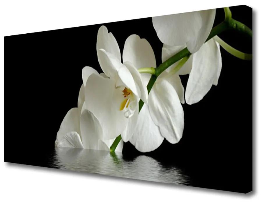 Obraz na plátně Orchidej ve Vodě Květiny 140x70 cm