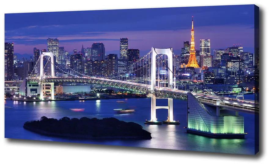 Wallmuralia Foto obraz na plátně Most v Tokio 100x50 cm