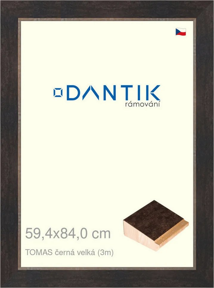 DANTIK rámeček 59,4x84 | TOMAS černá velká (Plexi Čiré)