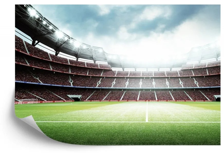 Fototapeta 3D Fotbalový Stadion Omyvatelný vlies 405x270