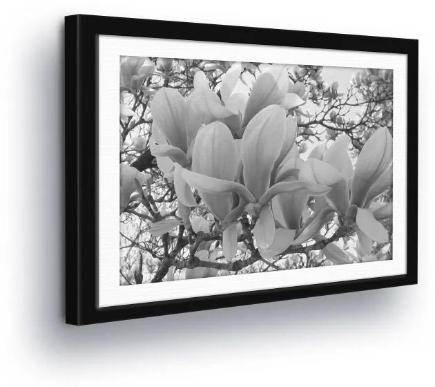 GLIX Obraz na plátně - Bílé Květy v Šedém Tónu v Paspartě 25x35 cm