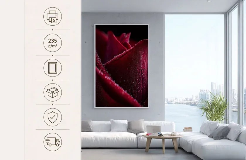 Sametový detail - obraz - Makro růže s kapkami vody 47 - A4 – 210 × 297 mm - 149 Kč